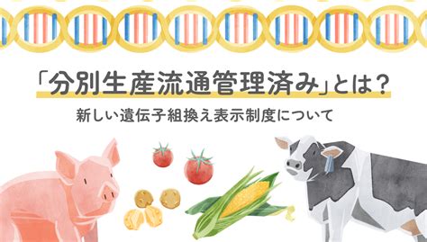 分別生産流通管理済みの意味とは新しい遺伝子組換え表示制度について説明します 札幌円山のオーガニック自然食品専門店らる畑