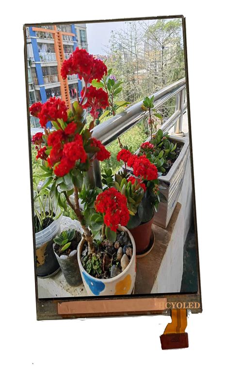 Inch X Pixels Full Color HD OLED Display Pane Amoled Display OLED Display And