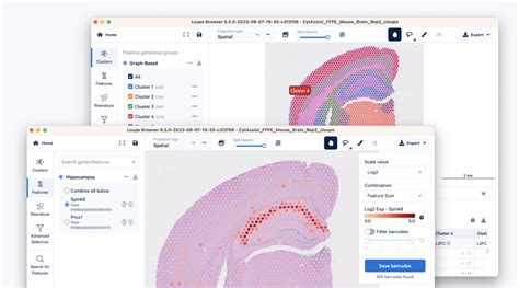 Visium Spatial Platform 10x Genomics