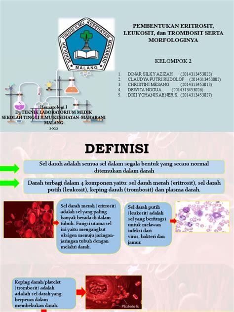 Pembentukan Eritrosit Leukosit Trombosit Dan Morfologinya Pdf