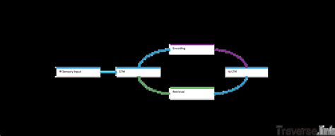 The Best Spaced Repetition Time Intervals According To Learning Science
