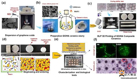 山大二院来庆国教授团队在3d打印生物陶瓷骨再生领域取得新进展 山东大学新闻网