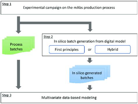 Methodological Procedure For In Silico Data Augmentation From Digital Download Scientific