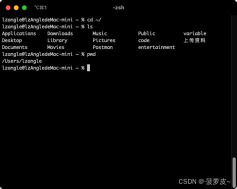 设置vim编辑器字体高亮带颜色加行号 vim行号高亮 csdn博客