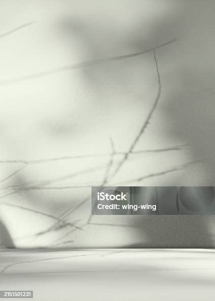 베이지 색 배경 벽 스튜디오 주방 연단 빛 그림자 잎 녹색 가을 여름 추상 오버레이 배경 룸 최소 제품 화장품 여름 모형 무대 연단 테이블 프리젠 테이션 템플릿 0명에 대한