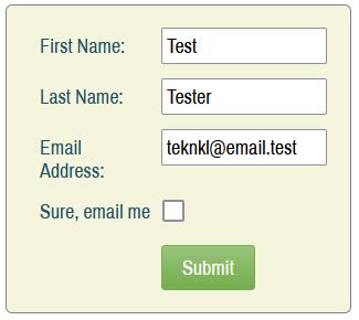 Inverting The Submitted Value Of A Forms Checkbox Teknkl Blog
