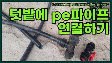 텃밭에 Pe파이프 연결하기 Youtube