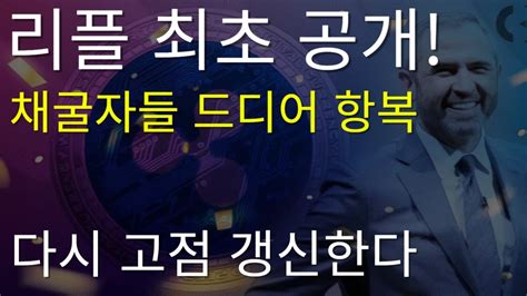 리플 어차피 정해진 일이었죠 Youtube