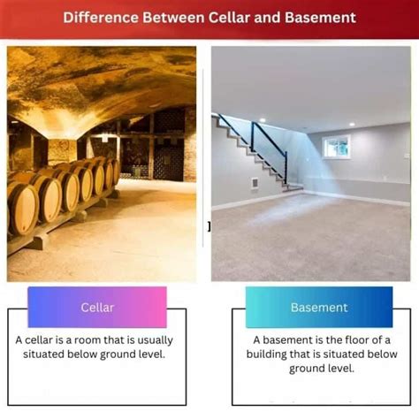 Cellar Vs Basement Difference And Comparison