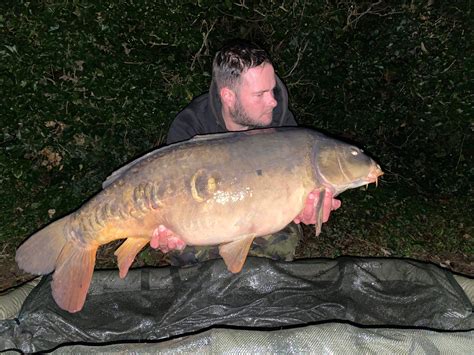 Mr Total Carp