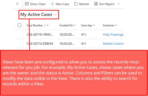 Dynamics 365 Platform Introduction Guru
