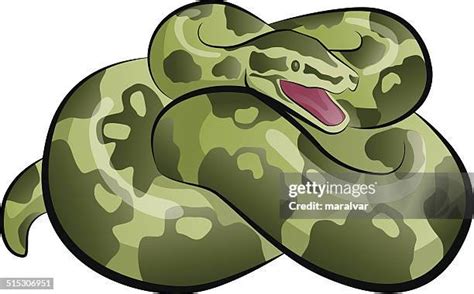 python high res illustrations getty images