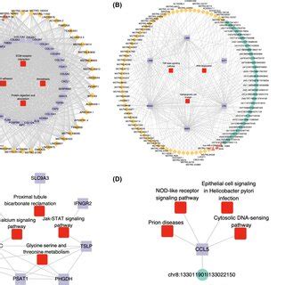 Coexpression Network Of Circular RNAs Long Noncoding RNAs
