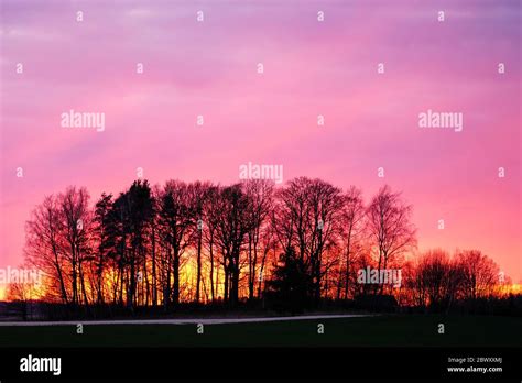 Trees Without Leaves Spring Hi Res Stock Photography And Images Alamy