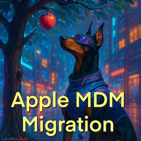 Managing Macos Devices With Intune Levacloud