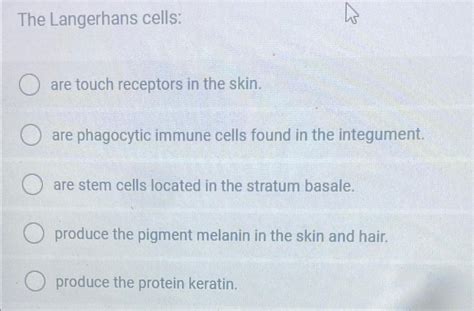 Solved The Langerhans Cells Are Touch Receptors In The