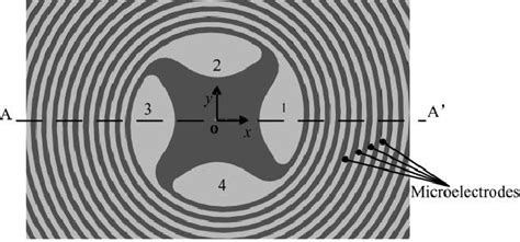 The Enlarged Drawing Of Quadrupole Electrodes And Spiral Electrode Bars