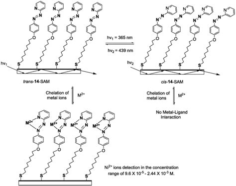 Azobenzenes Photoswitching And Their Chemical Sensor Application Intechopen