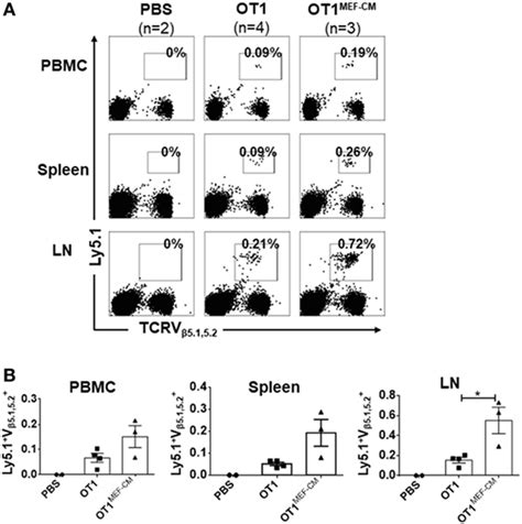 frontiers embryonic fibroblasts promote antitumor cytotoxic effects