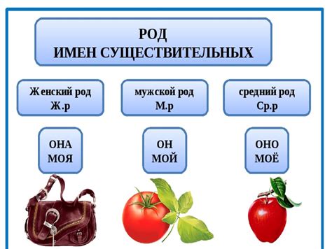 Мужской род женский род средний род картинки