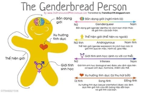 Pride Month là gì Vì sao gọi tháng là tháng tự hào của cộng đồng LGBT