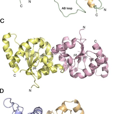 Tir Domain Structures A Nmr Structure Of Myd88 Tir Domain [102] Pdb