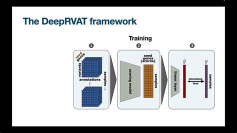 Joint Modeling Of Rare Variant Genetic Effects Brian Clarke Mlcsb Abstract Ismb 2022