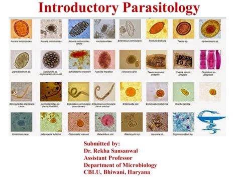 Parasitology Pdf