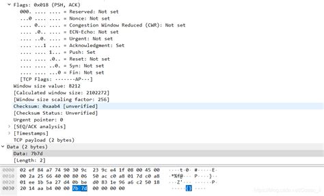 wireshark抓包分析tcp三次握手 包头包体数据分析和传输协议总结 抓包分析下 可以看到握手后的应用层的协议信息 csdn博客