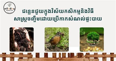 វិធីសាស្ត្រចិញ្ចឹមសត្វជន្លេនandអត្ថប្រយោជន៍របស់ជន្លេនចំពោះដី នាទីកសិកម្ម Kaksekam Time