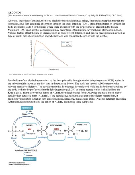 Alcohol Metabolism And Bac Analysis A Scientific Overview