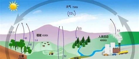 【案例教程】casa（carnegie Ames Stanford Approach）模型原理及实践应用 知乎