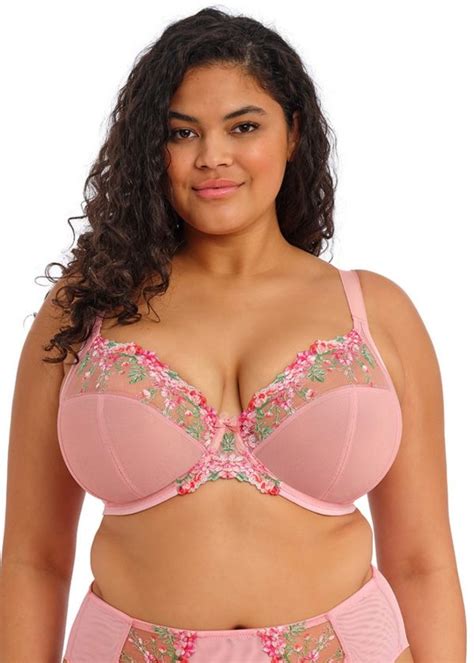 Elomi Aerith Underwire Plunge Bra Little Black Box