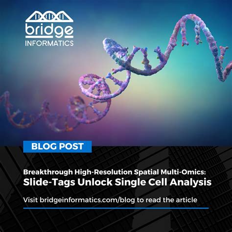 Bridge Informatics On Linkedin Spatial Omics Spatialtranscriptome Multiomics Singlecell