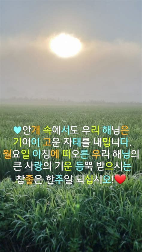 若使天下兼相愛 약사천하겸상애 4355년 2022 7 25 아침인사 춘추전국시대 墨家묵가의 墨子묵자와 성경 루카복음 예수님의 가르침 한자 학습지 고사성어