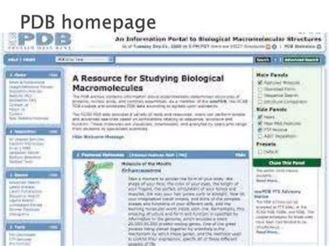 Primary Bioinformatics Database Pptx