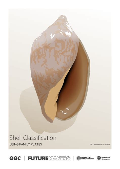 Shell Classification