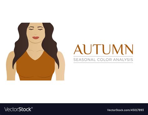 Seasonal Color Analysis Autumn Or Fall Banner Vector Image
