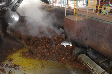 Manufacture Crude Palm Oil Processing Plantlow Cost Price For Salepalm Oil Press