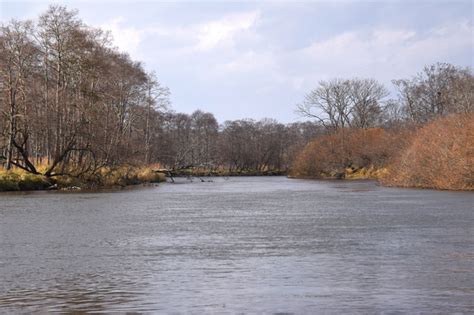 環境省 釧路湿原国立公園 フォトアルバム 釧路川