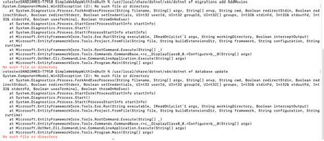 Create Webapplication Project With The Command On M Machine