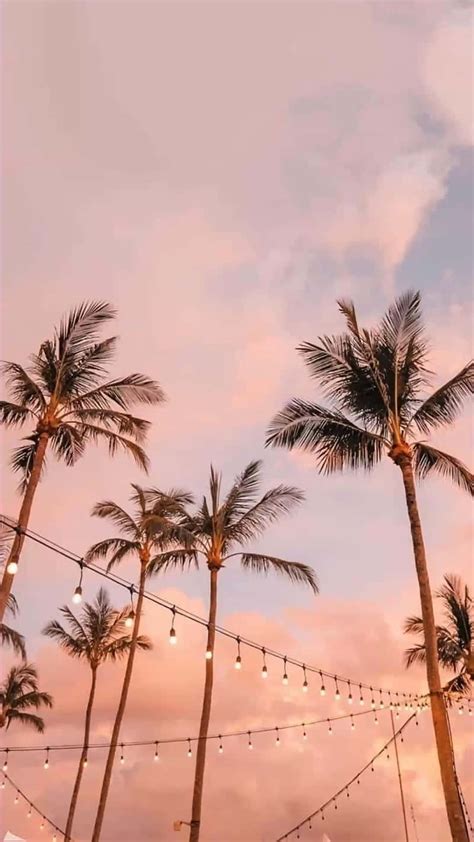 Download Pastel Sunset Palm Trees With String Lights Wallpaper