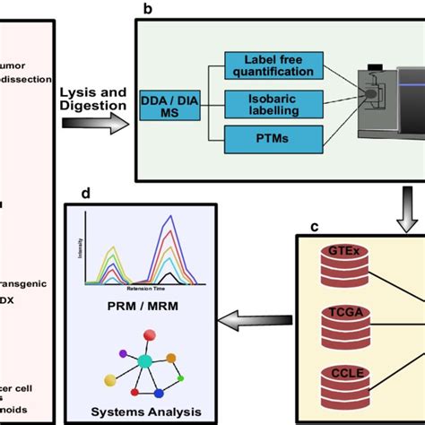 Pdf Recent Advances In Mass Spectrometry Based Clinical Proteomics Applications To Cancer