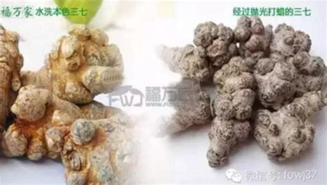 如何买到好的文山三七 文山三七的新闻 买三七 选福万家