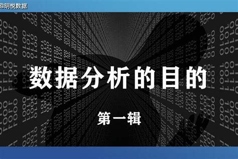 企业数据分析的目的 第1辑 证据