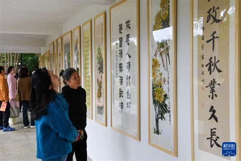 鮮やか3万鉢ずらり第39回深圳菊花展開幕 中国広東省