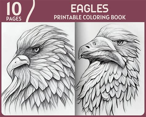 10 Eagles Coloring Pages Eagle Head Illustrations Printable