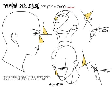 Taco 얼굴 중심선에 삼각형을 붙이면 다양한 각도의 코 모양과 기울기를 파악할 수 있다 顔の中心線に三角形をつけると さまざまな角度の鼻の形と傾きがわかる