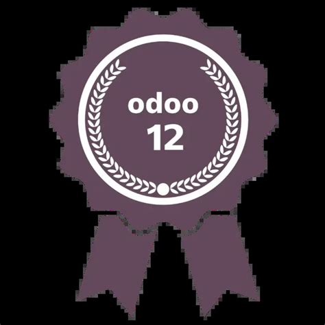 Top Odoo Erp Services And Apps For Smes In Egypt Softhealer