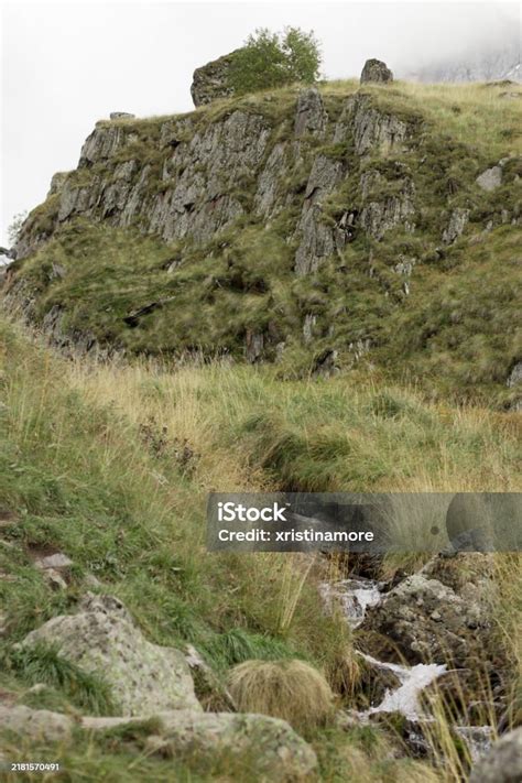 풀밭 사이로 흐르는 작은 시냇물이 있는 바위가 많은 언덕의 고요한 전망 울퉁불퉁한 지형과 자연 녹지는 조지아에서 이 풍경의 손길이 닿지 않은 아름다움을 더합니다 0명에 대한